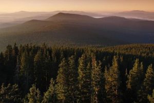 Boubínský prales - Šumavská chalupa